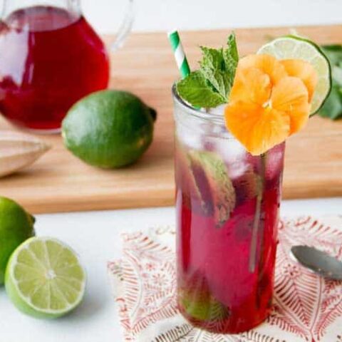 Hibiscus Lime Spritzer Cocktail - Hibiscus Flower Health Benefits - All ...