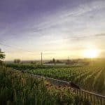 Tired of Boring Road Trips? Here are 7 Ways to Enjoy the Drive