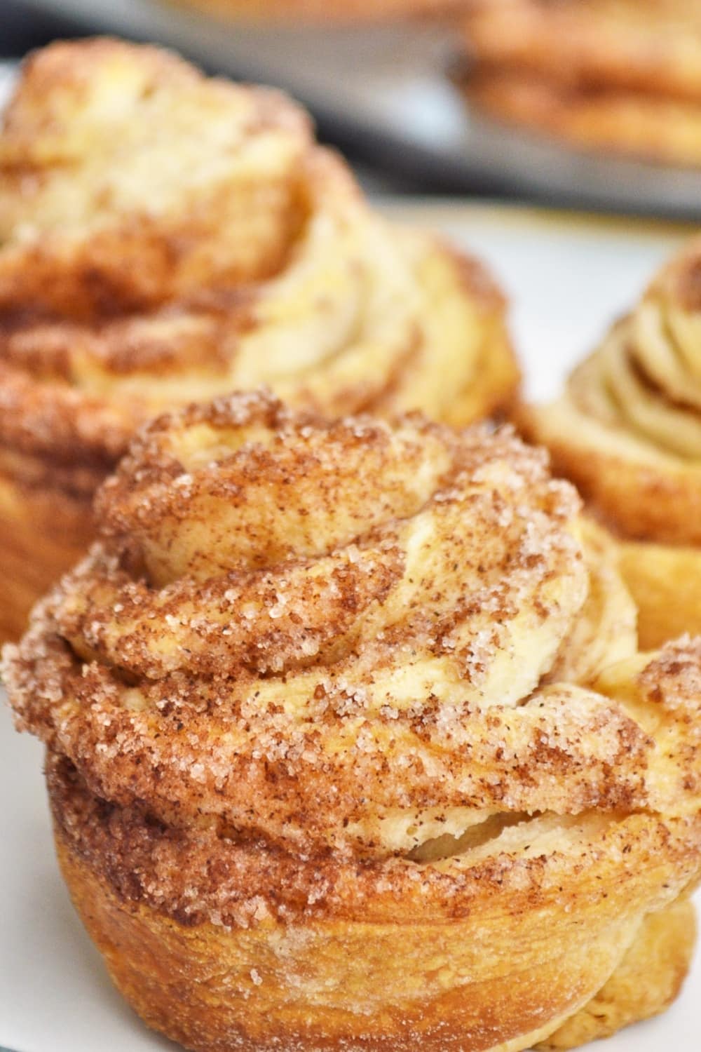 Cinnamon Sugar Cruffins - All She Cooks