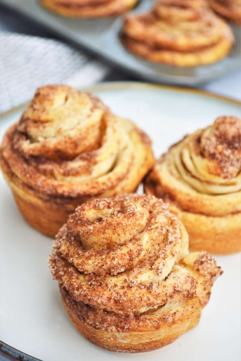 Cinnamon Sugar Cruffins - All She Cooks