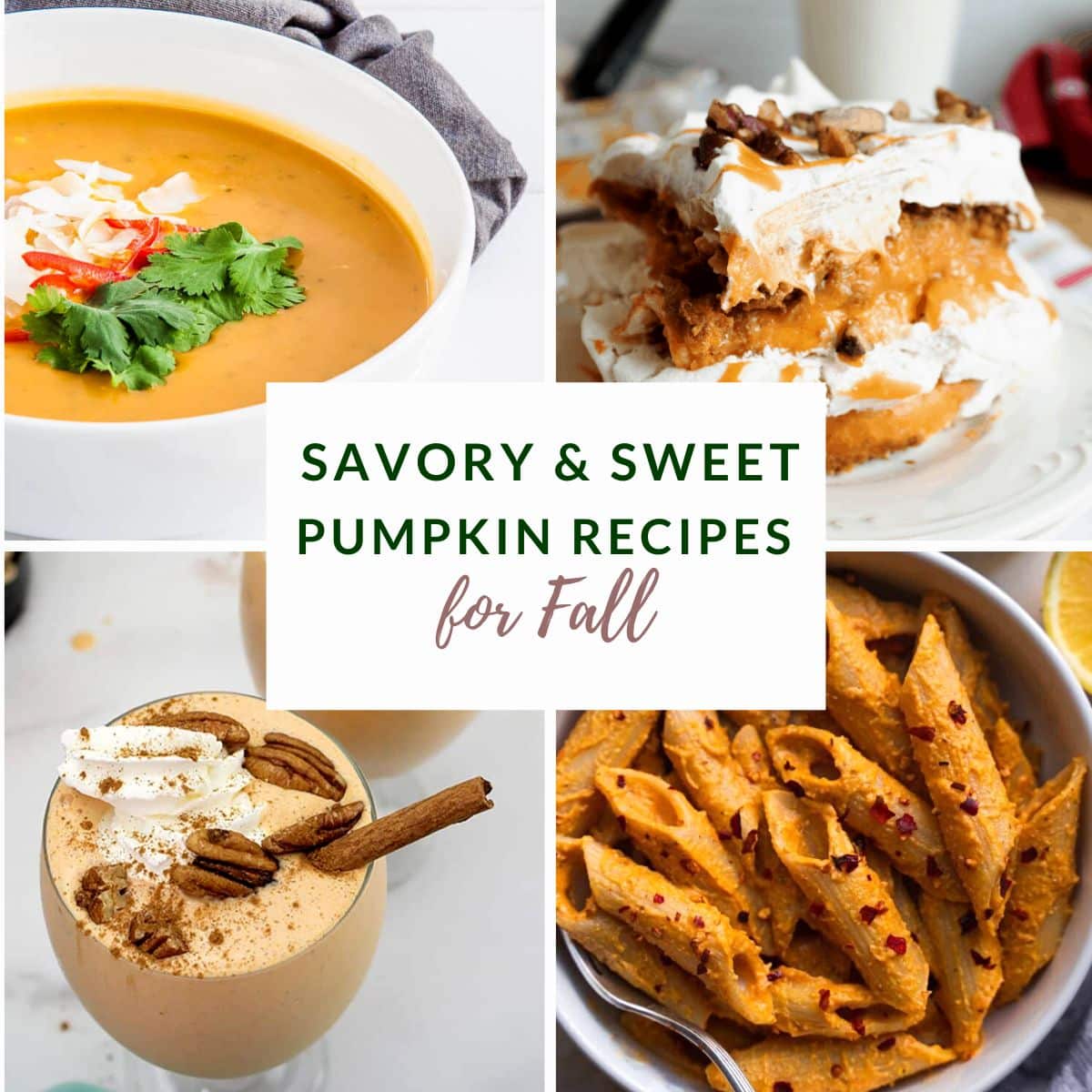 Best Pumpkin Recipes - Savory & Sweet!