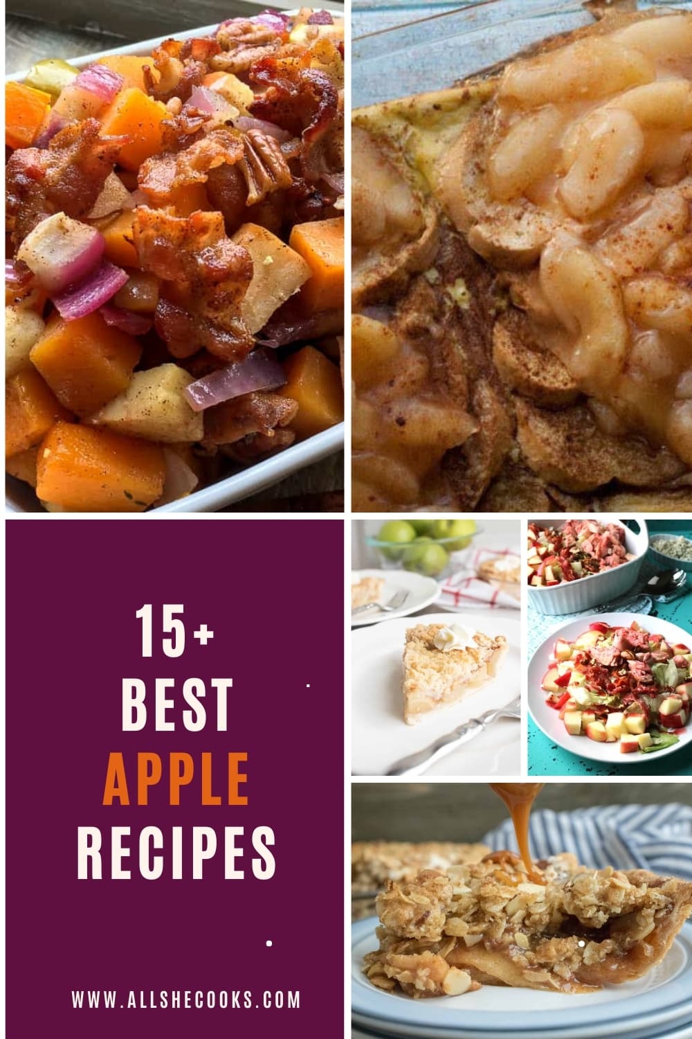 15+ Best Apple Recipes - Cakes, Pies, Butter, and More! - All She Cooks