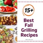 15+ Best Fall Grilling Recipes - Meat & Veggies - All She Cooks
