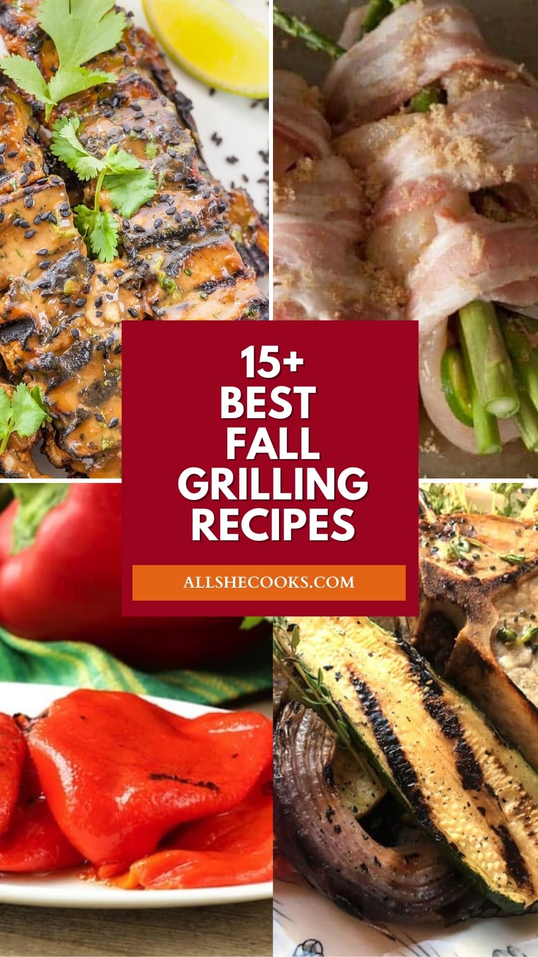 15+ Best Fall Grilling Recipes - Meat & Veggies - All She Cooks