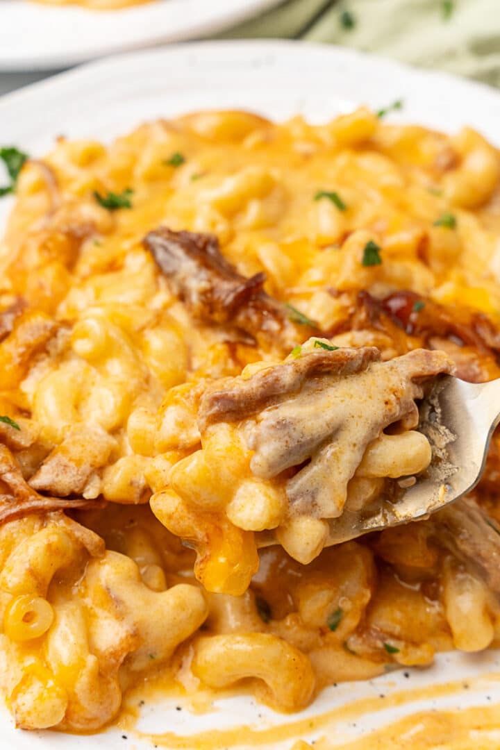Pulled Pork Mac and Cheese - All She Cooks